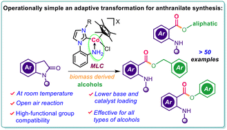 Amine-functionalized cobalt–NHC catalysis for the adaptive synthesis of ...