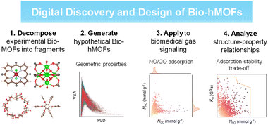 Digital design and discovery of biological metal–organic frameworks for ...