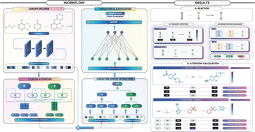SynCat: molecule-level attention graph neural network for precise ...