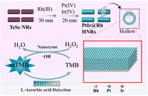 Fabrication of a hierarchical PtIr@Rh hollow trimetallic nanozyme with ...