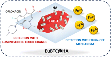 A novel luminescent EuBTC@HA composite with dual sensing properties ...