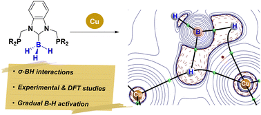 σ-BH activation of NHC → BH3 fragments in dinuclear Cu complexes ...