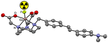 A gallium fluoride-18 complex containing a pentadentate macrocyclic ...