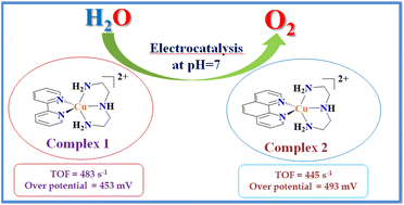 Enhancing electrocatalytic water oxidation: ligand complementarity in ...