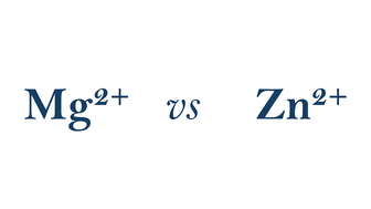 Isostructural Mg and Zn compounds: analogies and differences in ...