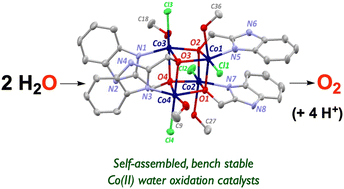 Electrocatalytic water oxidation with bioinspired cubane-type CoII ...