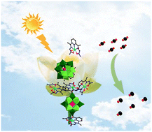 Photocatalyst based on a transition metal-Schiff base ligand and V ...