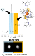 Macrocyclic transition-metal parashift complexes for MRI at clinical ...