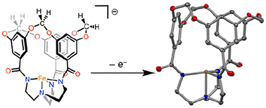 Assessing structure and dynamics of iron complexes supported by tris ...