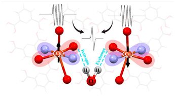 Water-mediated isotropic exchange in an extended Cu(ii) crystal lattice ...