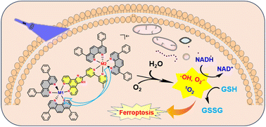 A bimetallic Ru(ii)–Ru(ii) complex as an effective non-small cell lung ...