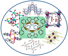 From discrete to polymeric assemblies: exploring supramolecular ...