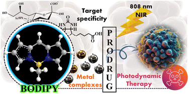 Fluorophores to fighters: BODIPY-metal complexes as next-gen anticancer ...