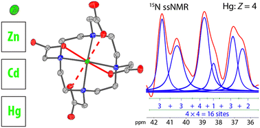DOTA complexes with divalent zinc, cadmium and mercury: X-ray and solid ...