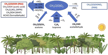 Airborne measurements of peroxyacetyl nitric anhydride (PAN) and ...
