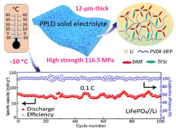 Low temperature polymer electrolyte-based solid-state lithium batteries ...