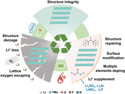 Dual-function surface–bulk engineering via a one-step strategy enables efficient upcycling of ...