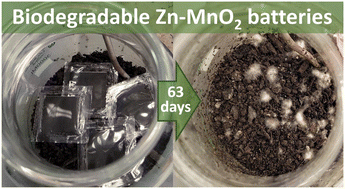 Towards an all-printed biodegradable battery - EES Batteries (RSC ...