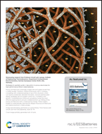 Back cover - EES Batteries (RSC Publishing)