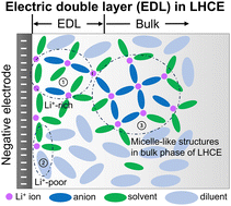Revealing heterogeneous electric double layer (EDL) structures of localized high-concentration ...