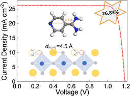 Dual-site passivation by heterocycle functionalized amidinium cations toward high-performance ...