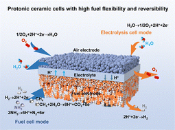 Tailoring the structural durability and proton conductivity of ...