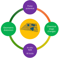 An atomistic view of the dynamic behaviour of single atom/nanocluster ...