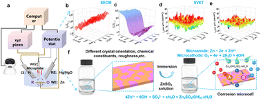 Insight into the corrosion microcell and passivation mechanisms of a Zn ...
