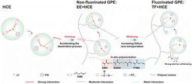 Toward practical lithium metal batteries via a solvation structure ...