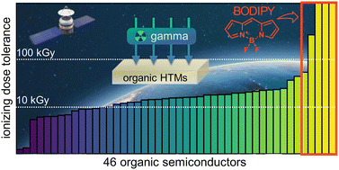Uncovering gamma-stable organic semiconductors: large-scale screening ...
