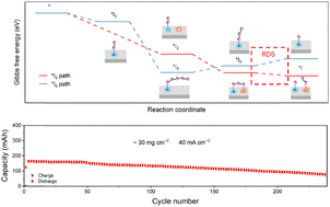 Redirecting iodine reduction pathways by decoupling adsorption energies ...
