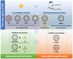 Insight into the interactions between microplastics and heavy metals in ...