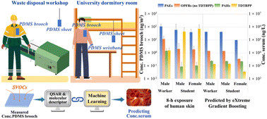From PDMS-based exposure profiling to machine learning-predicted serum ...