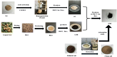 An eco-friendly approach to soil remediation: evaluating clay–biochar ...