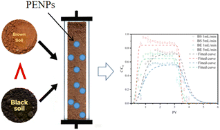 Influence of physicochemical factors on the transport behavior of ...