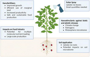 Nanostimulants and nanofertilizers for precision agriculture ...
