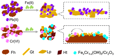 Enhanced immobilization of sorbed Pb and Cr during the Fe(ii)-catalyzed ...