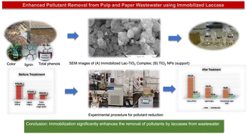 Optimization of color, lignin, and total phenol removal from pulp and ...