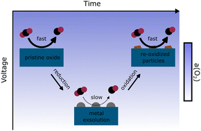 The dark side of metal exsolution: a combined in situ surface ...