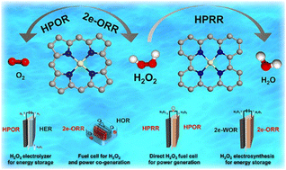 Structure–activity relationship in Co–N–C catalysts for multiple H2O2 ...
