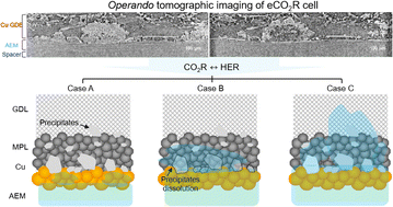 Visualizing degradation mechanisms in a gas-fed CO2 reduction cell via ...