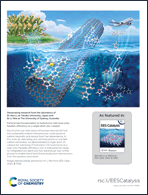 Inside back cover - EES Catalysis (RSC Publishing)