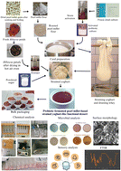 Optimization of a novel probiotic-fermented pearl millet-based strained ...