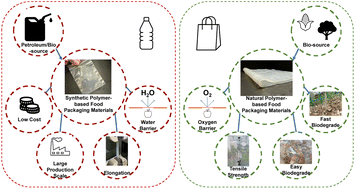 Natural polymer-based food packaging: paving the way to a greener ...