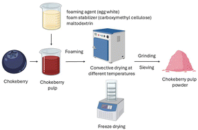 Production of chokeberry pulp powder by convective and freeze-drying ...