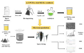 Enhanced stability of n-3 PUFAs rich structured lipids via spray-dried ...