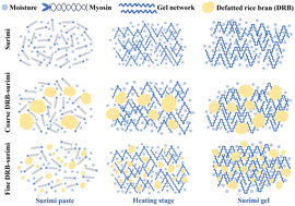 Particle size effect of defatted rice bran on the gel properties and ...