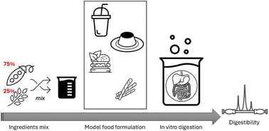 INFOGEST in vitro digestion: protein breakdown in relation to food ...