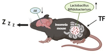 A non-pharmacological intervention for insomnia: tryptophan ...