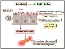 A dietary switch from a high fat to a low fat diet mitigates obesity ...